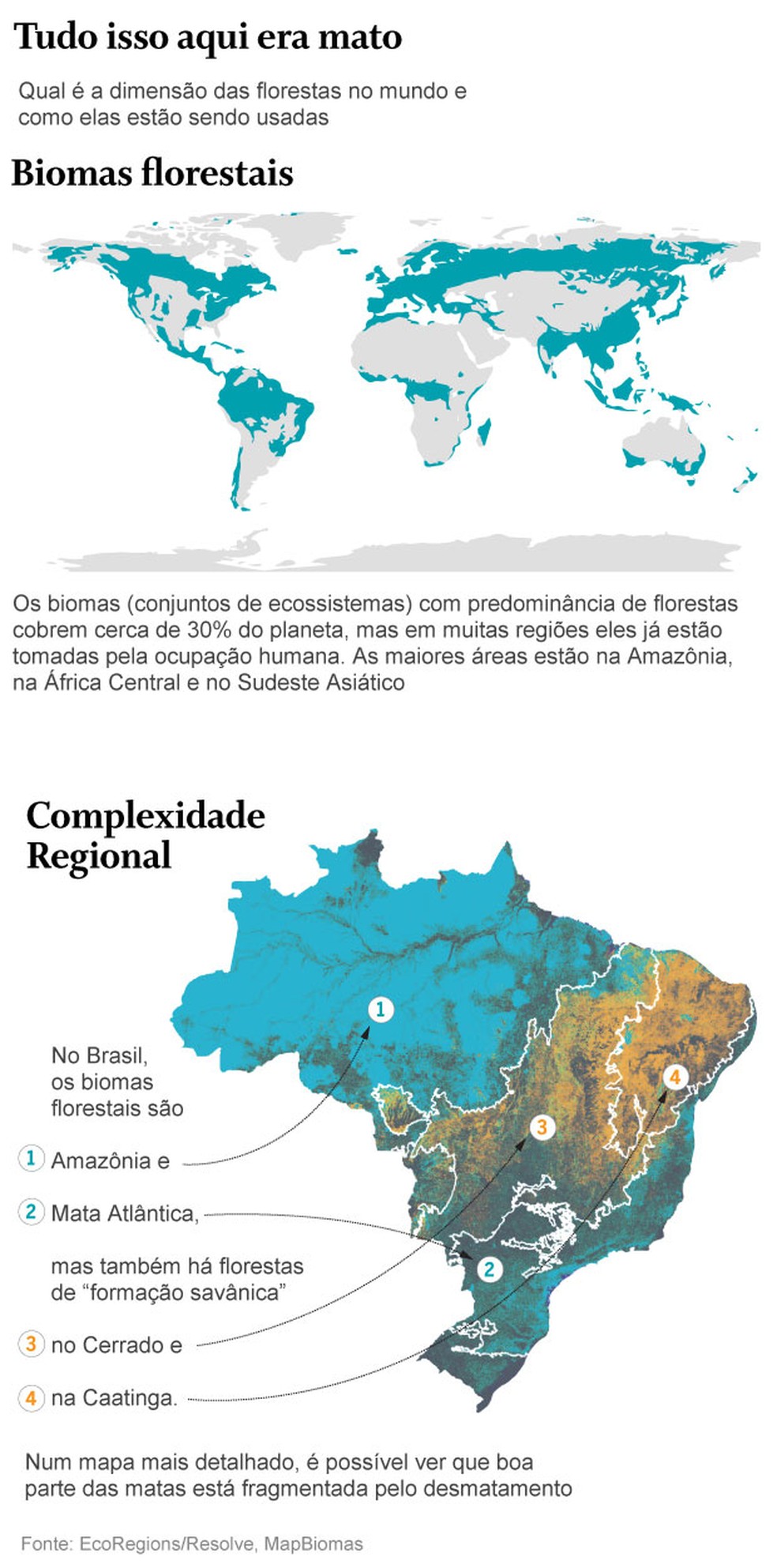 Ciência corre contra o tempo para entender como florestas reagem à ...