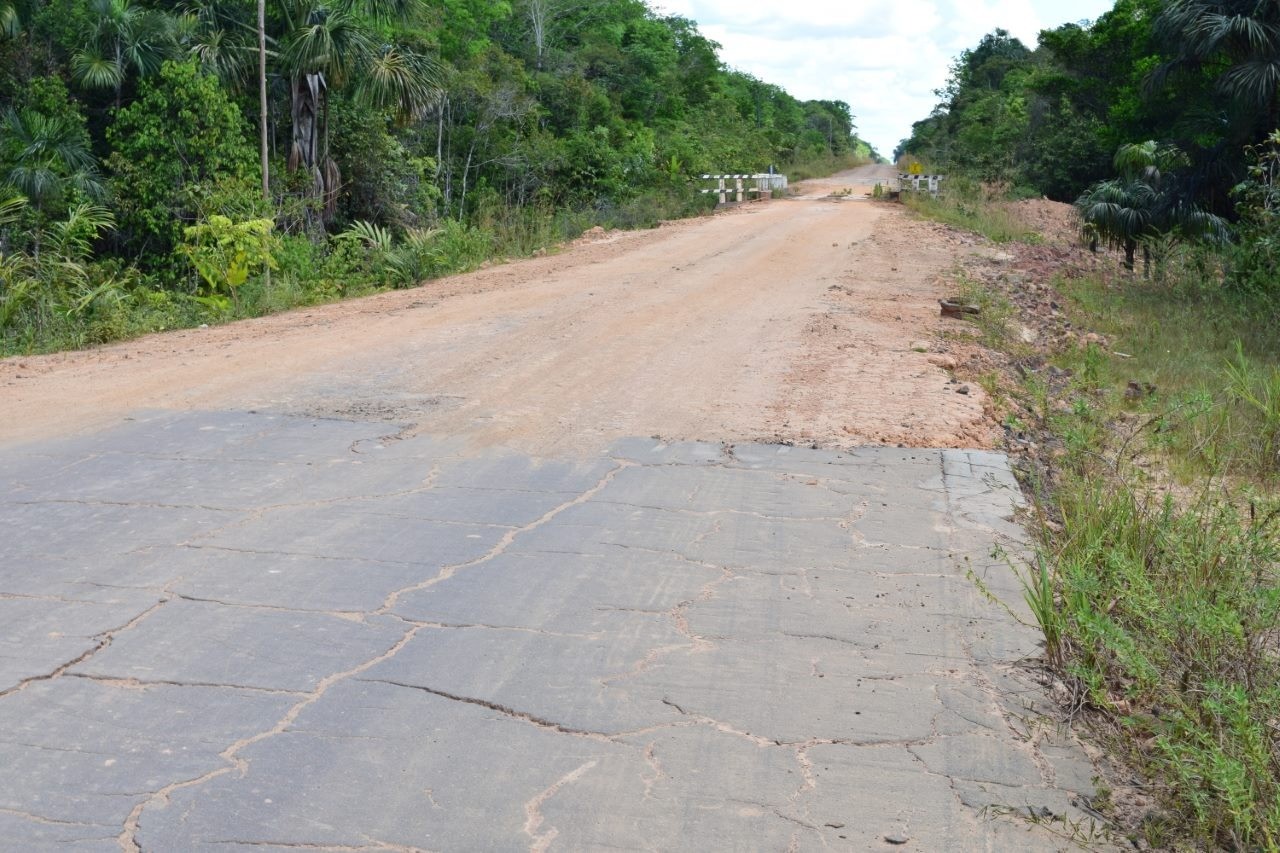 BR-319: Transparência Internacional Brasil aponta riscos ...