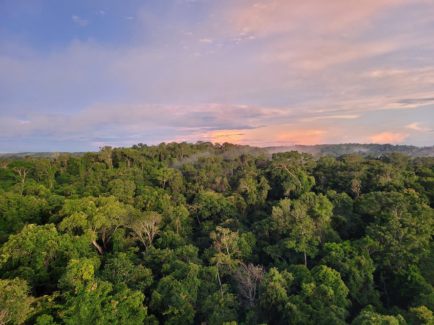 Países ricos superam meta climática global de US$ 100 bilhões pelo ...