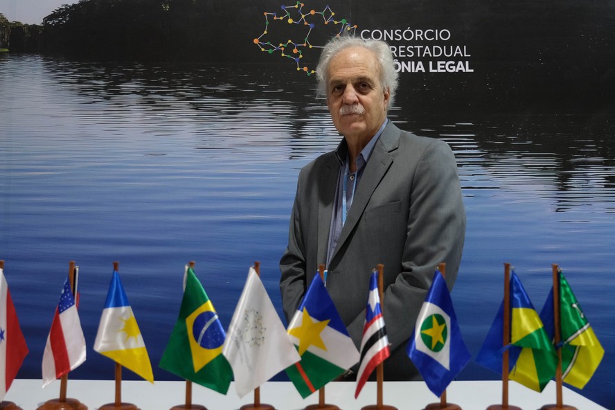Incêndios podem acelerar savanização da Amazônia, diz climatologista ...