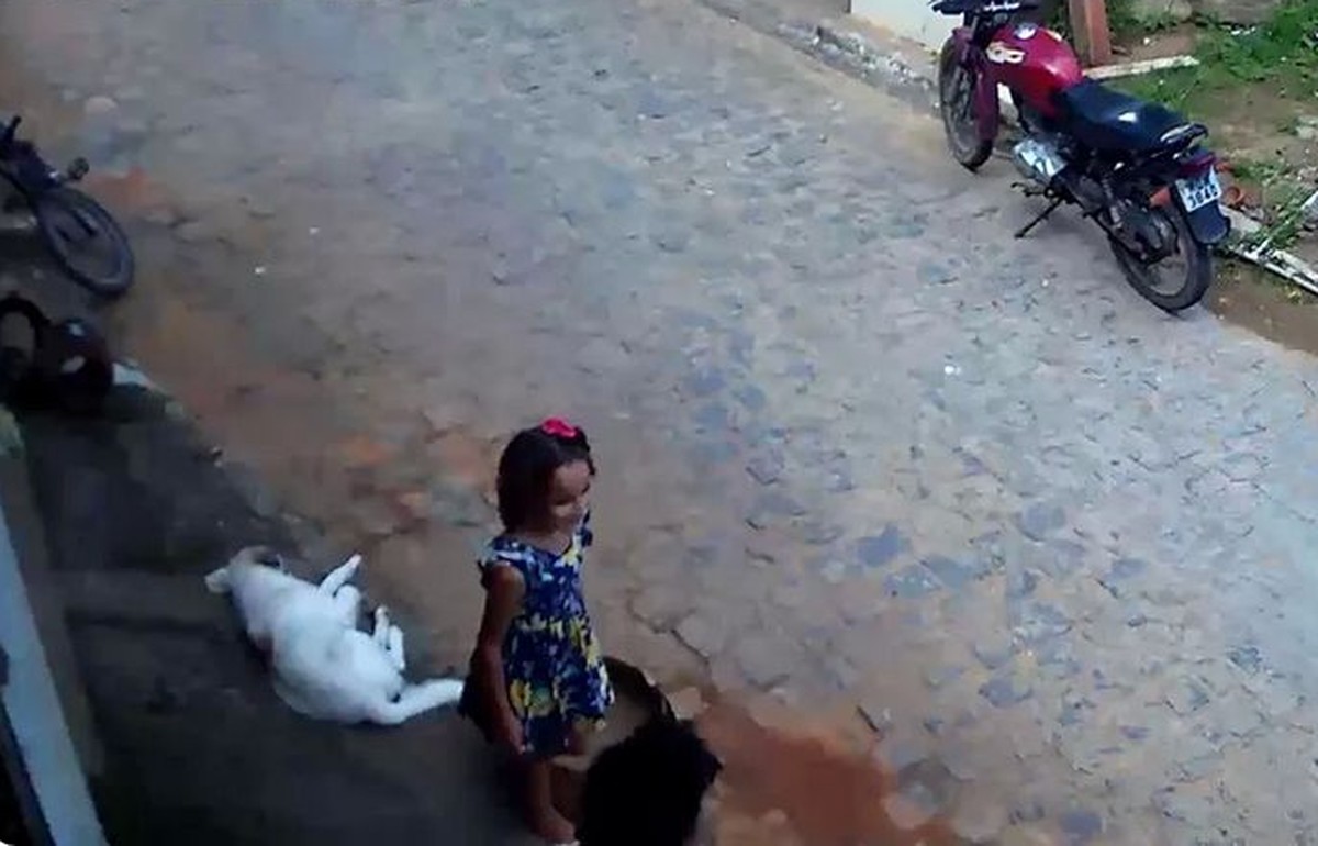 Caso Ana Sophia: menina que sumiu após ir brincar com amiga pode estar enterrada perto de casa ...