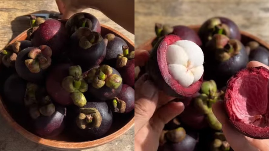 Mangostim: conheça fruta indonésia que superou jabuticaba em lista de ...