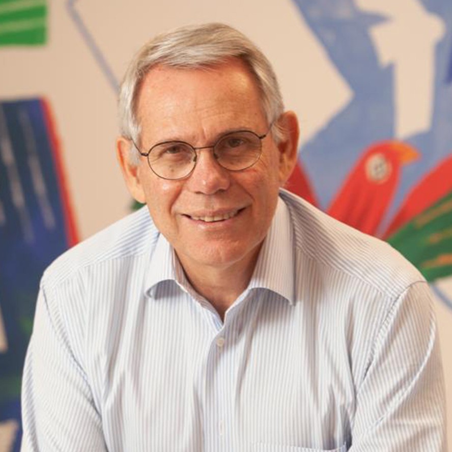 ‘Subsídios não deram certo no passado’, diz CEO da Suzano sobre ...