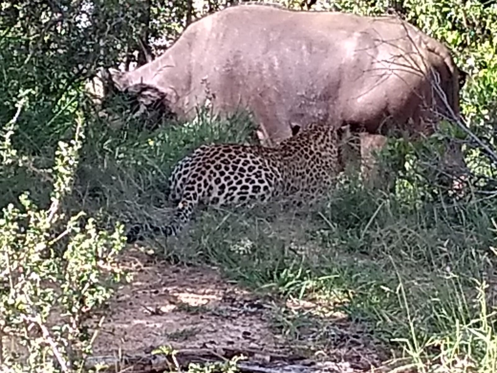 África do Sul: Agora 'mais perto', país de Mandela encanta brasileiros ...