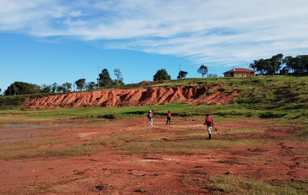 Pesquisadores encontram fóssil de dinossauro de 230 milhões de anos ...