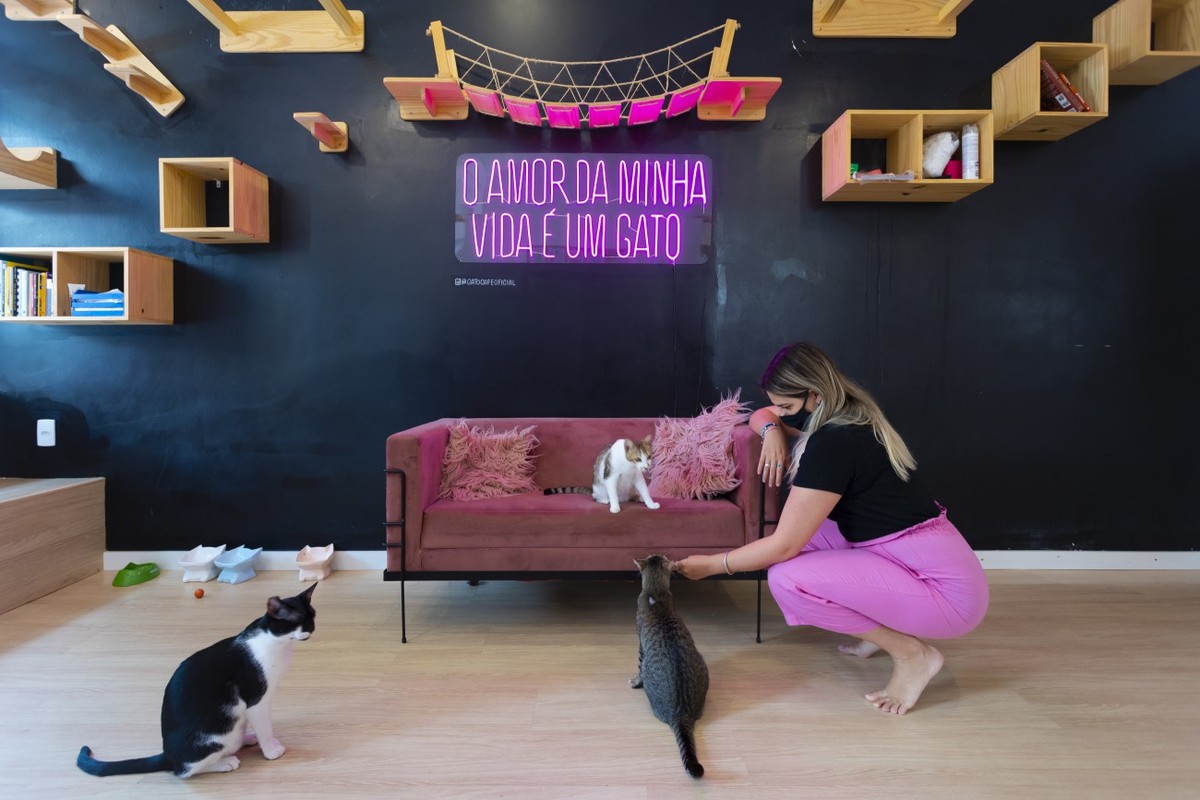 Conheça o Gato Café, espaço que une felinos e comidinhas divertidas