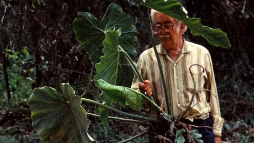 Burle Marx ganha programa inédito em memória aos 30 anos de sua morte