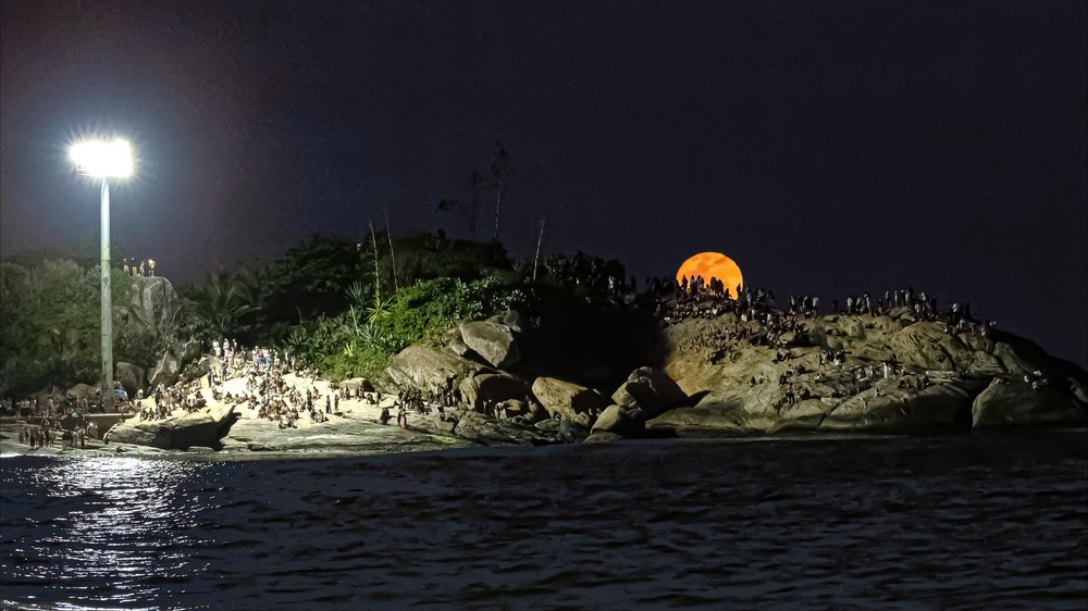Carioca que aprendeu a fotografar aos 40 anos, na pandemia, flagra ...