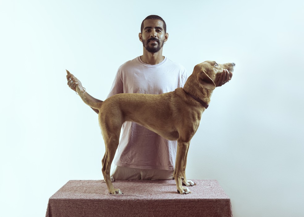 Mistérios envolvem a origem do cachorro caramelo; entenda