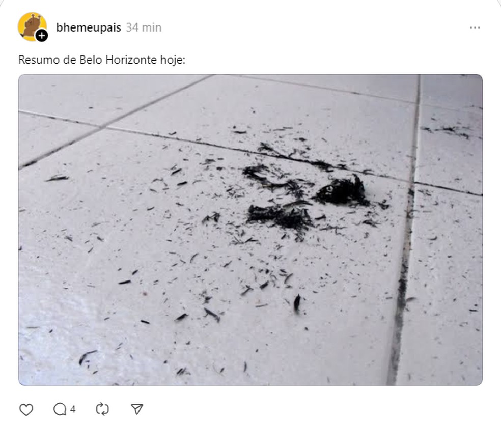 'Tá impossível respirar em Belo Horizonte': há 150 dias sem chuva ...