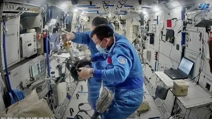 China envia moscas à missão espacial para avaliar impactos da microgravidade nos seres vivos