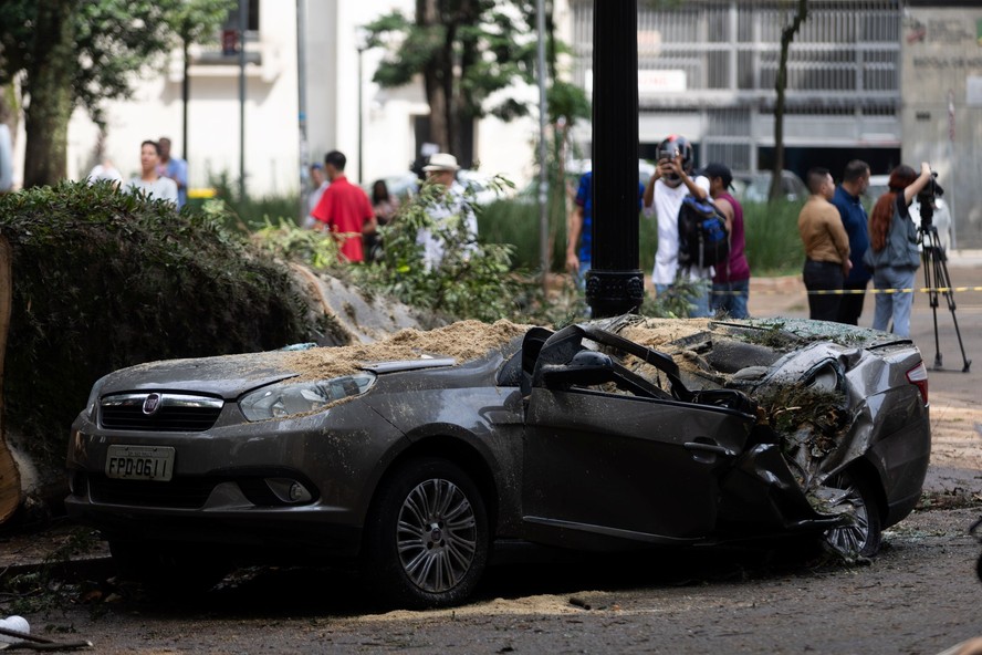 Chuva em SP: quem paga quando uma árvore atinge um carro? Como ...