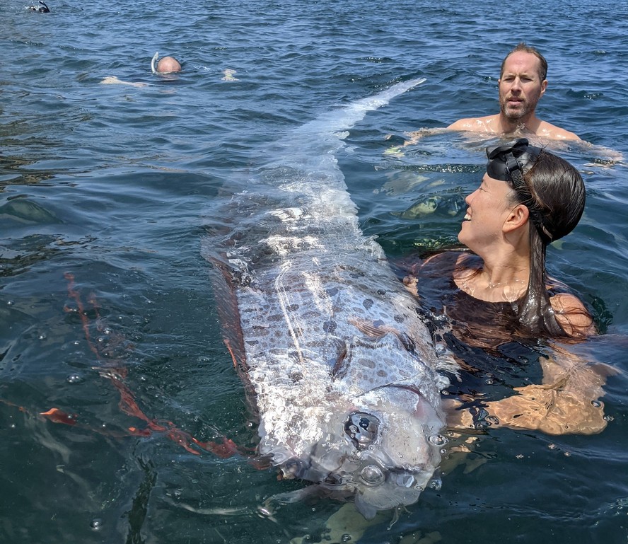 'Peixe do juízo final' é encontrado em praia na costa da Califórnia ...