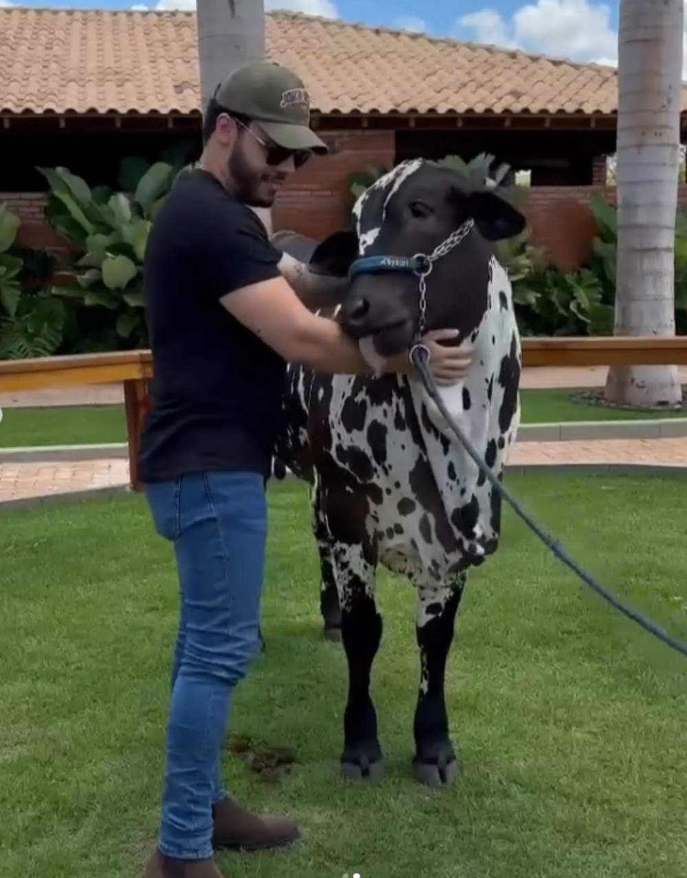 Rei do gado? Além da bezerra de luxo para namorada, Murilo Huff investe ...