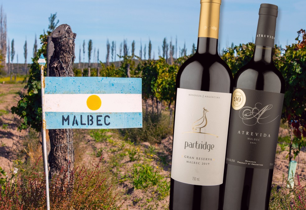 Dia mundial do Malbec é celebrado nesta segunda-feira; confira dicas de ...