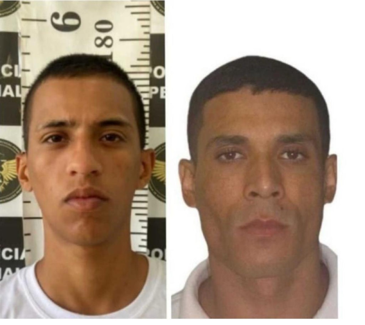 Detentos presos em isolamento serram grades e fogem da Papuda no DF