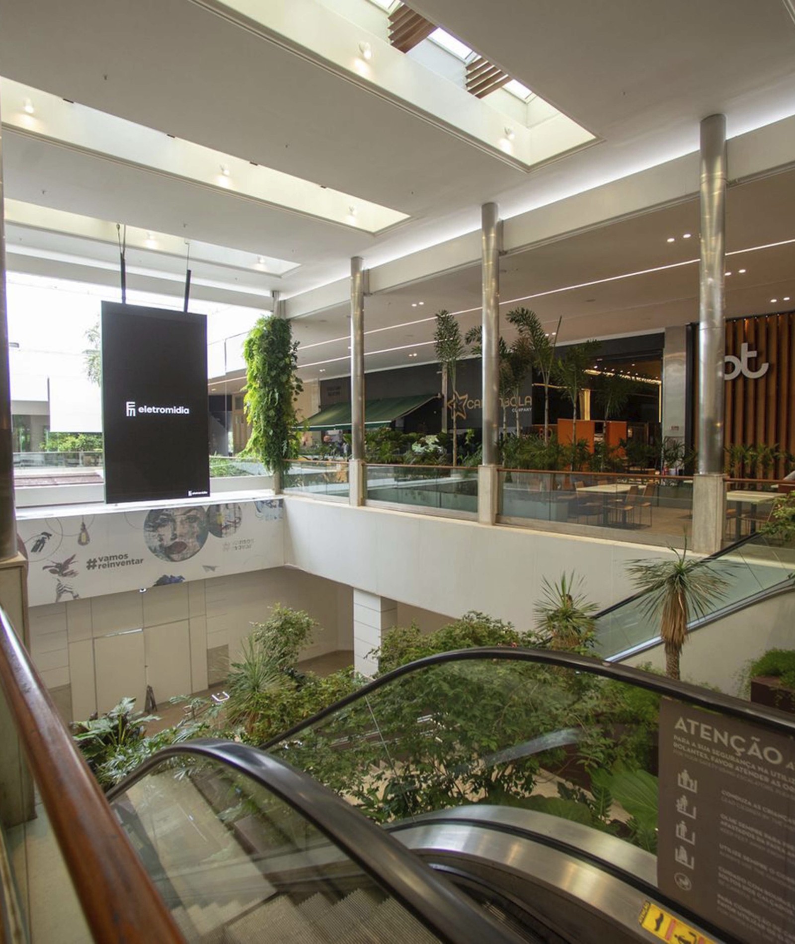 Que lugares os famosos frequentam? De Cauã Reymond a Alcione, veja um roteiro na Barra da Tijuca ...