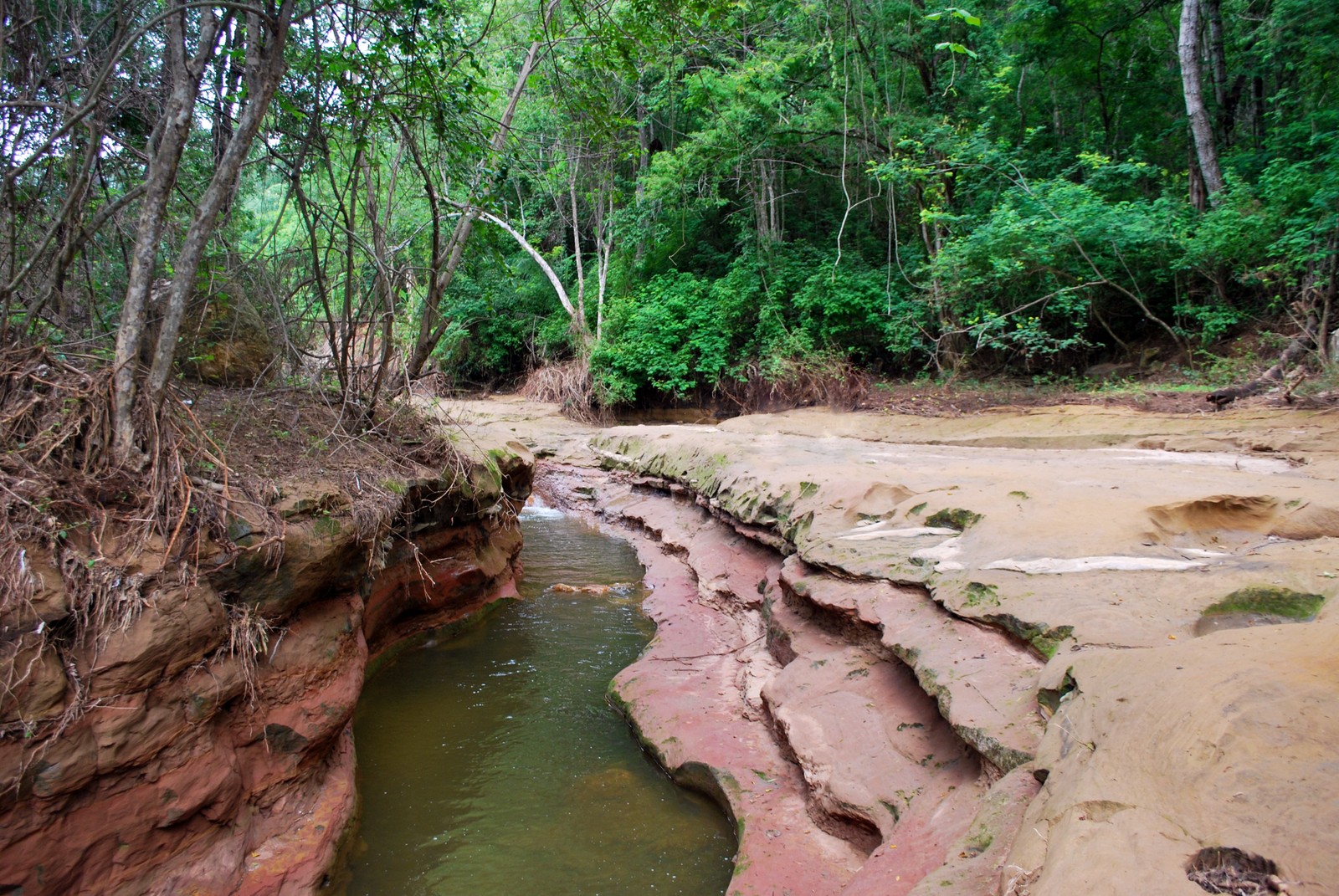 Geoparque Araripe: conheça os principais pontos de visitação da terra ...