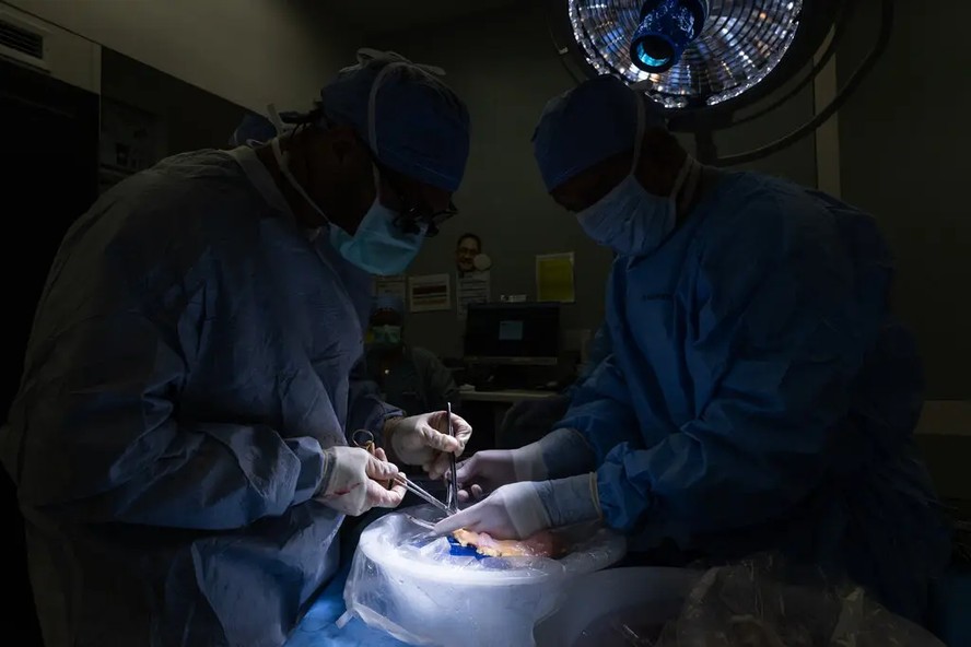 Um transplante de órgãos pode realmente mudar a personalidade de alguém?