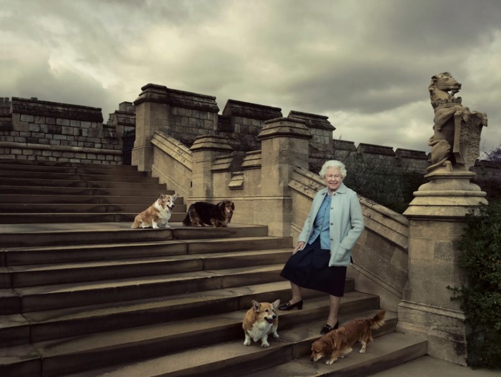 Corgis da Rainha Elizabeth II viram protagonistas de uma exposição ...