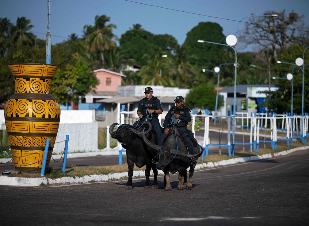 Pm Realiza Policiamento Com Búfalos Na Ilha De Marajó No Pará Veja Fotos