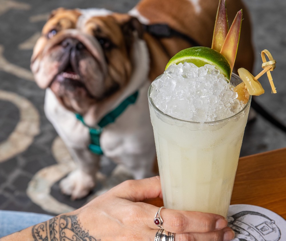 Dia dos pais 2023: confira dicas de restaurantes para comemorar a data