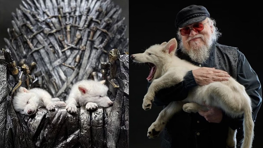 Lobo gigante de 'Game of Thrones' ‘ressuscitado’ após 12 mil anos de ...
