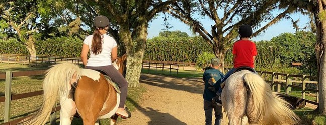 Cavalgadas em trilhas, cachoeiras e até na praia: veja os novos roteiros criados por haras de ...