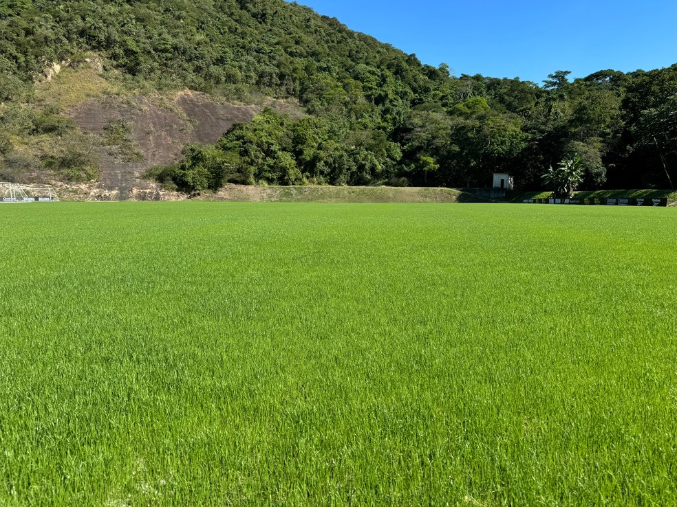 Botafogo: campos do CT Lonier passam por manutenção para plantio de ...