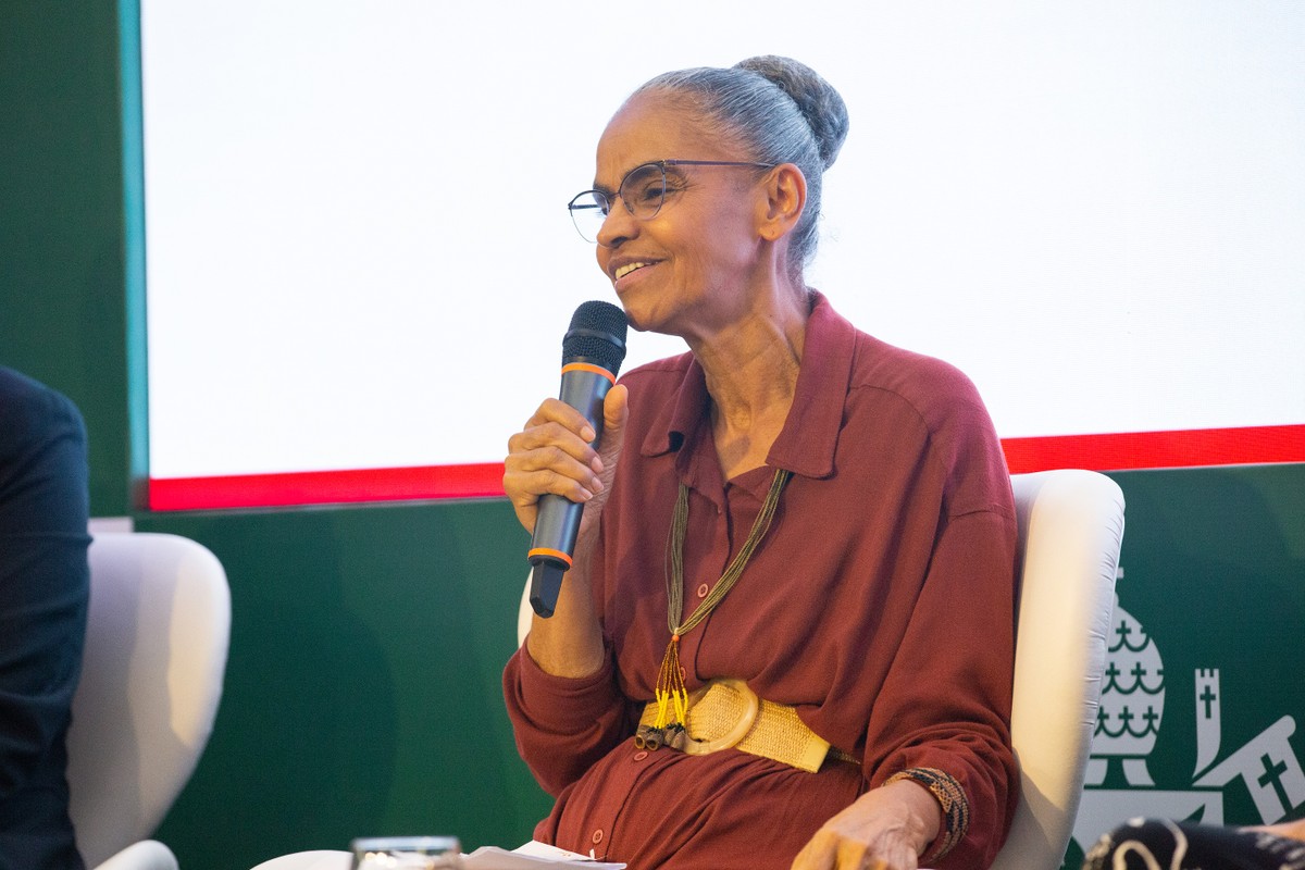 Marina se diz 'em luto' com flexibilização de licenciamento ambiental ...