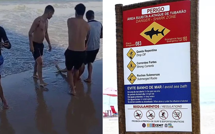 Médico diz que mulher atacada por tubarão no Recife já saiu do mar sem ...